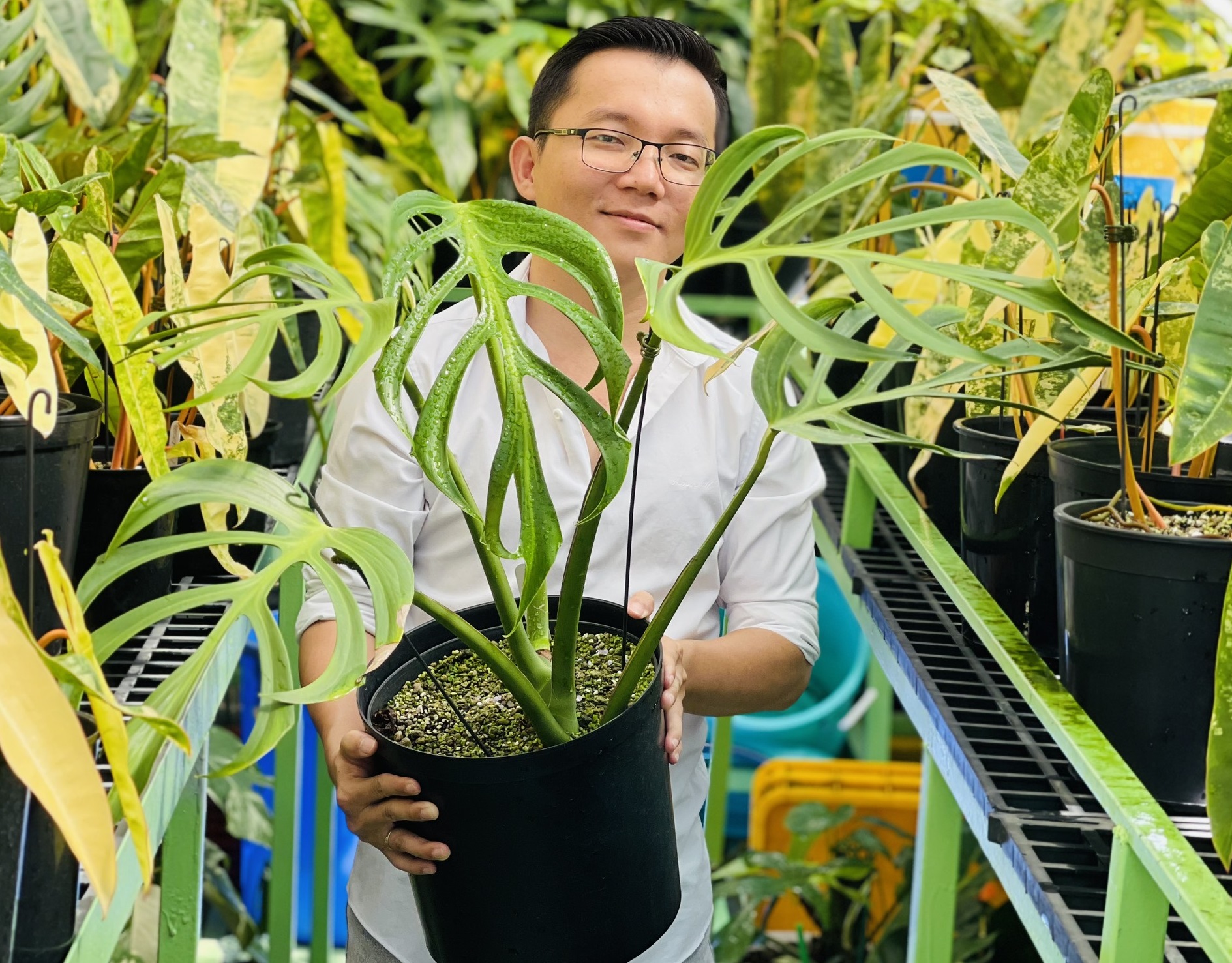 Sơn Seven - Khu Vườn Kiểng Lá Đột Biến Độc Đáo Giữa Lòng Sài Gòn ...